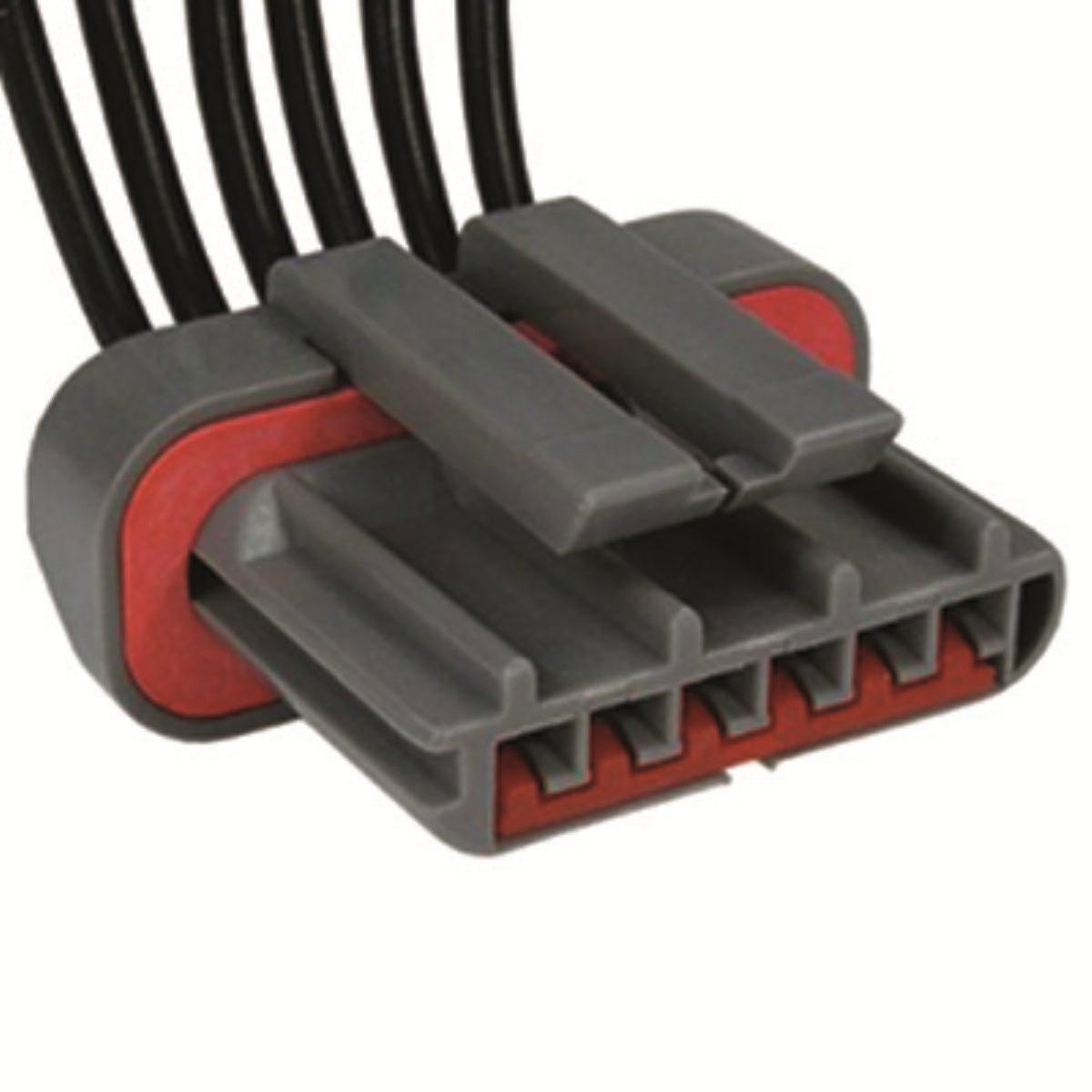 Ford Ignition Module Socket 1p The Best Connection — OEM Tech Tools